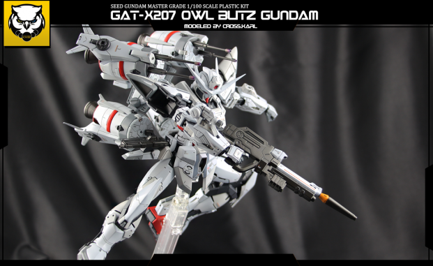 Custom Build: MG 1/100 "Owl" Blitz Gundam