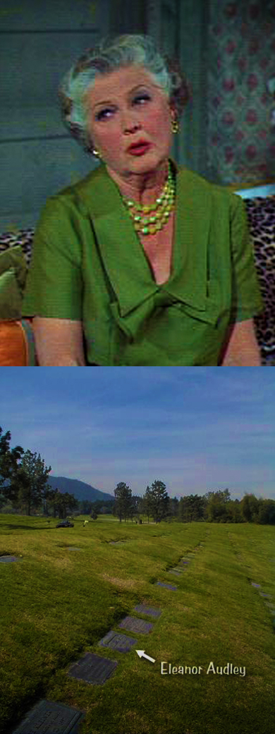 Pretty Pictures: 11/20/11 - 11/27/11