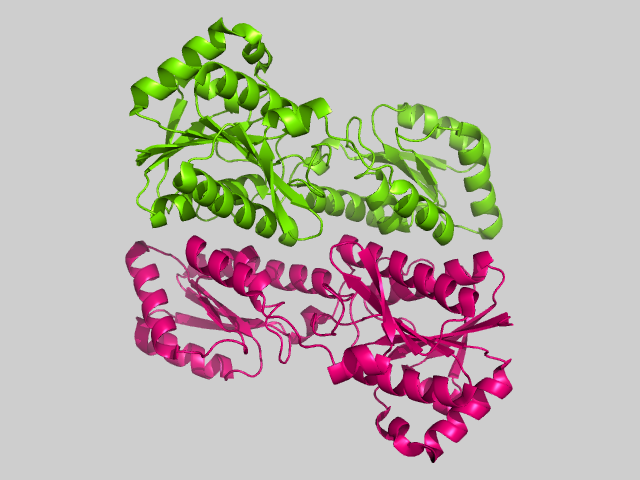 Phosphofructokinase-1: Visual Representations of PFK-1