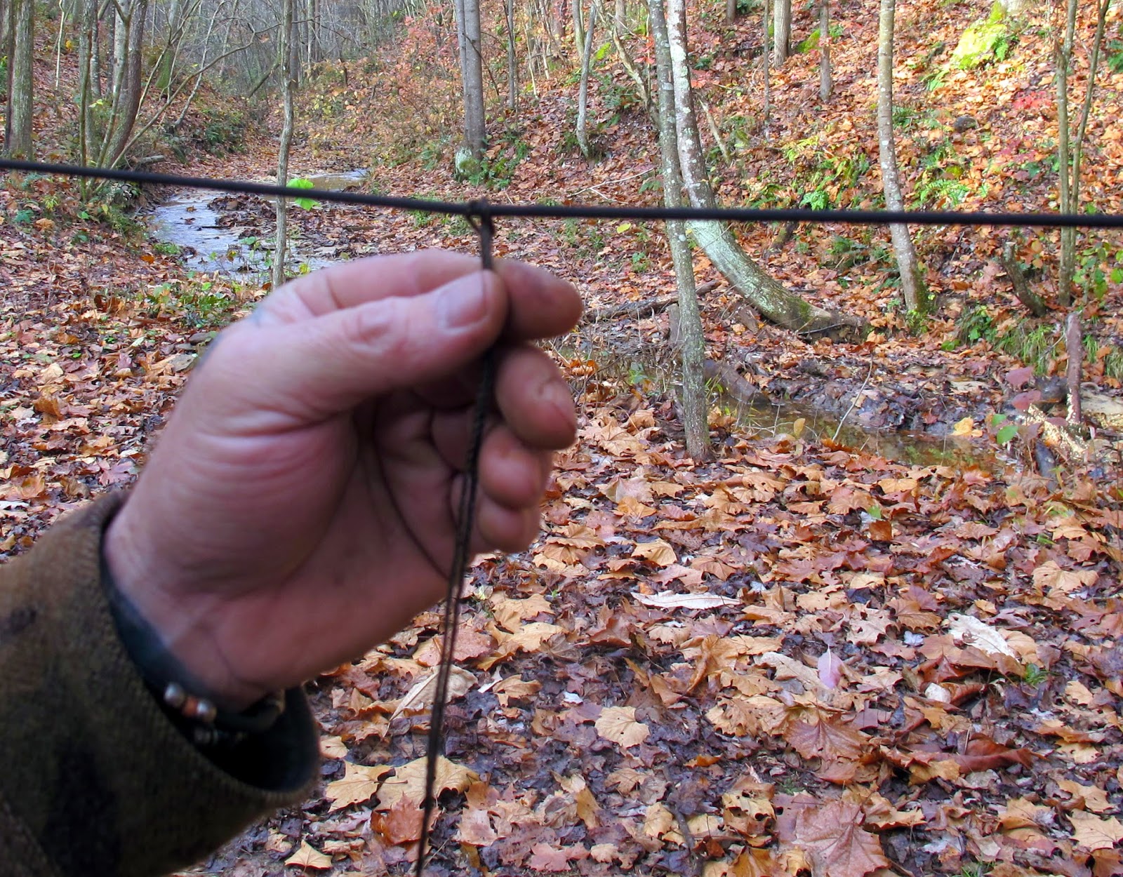 Woodland Wisdom: Survival Trapping