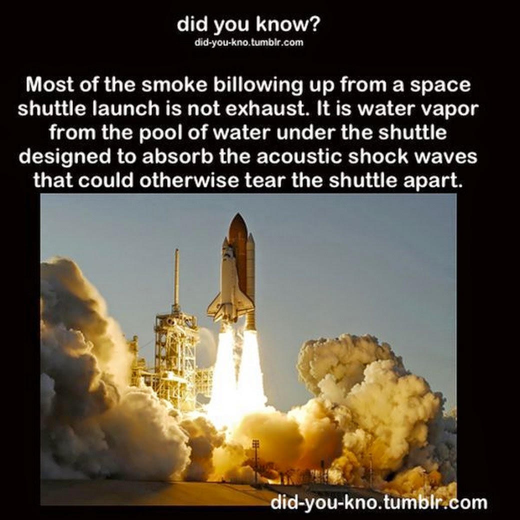 Chuck's Fun Page 2: Fun facts (15 posters)