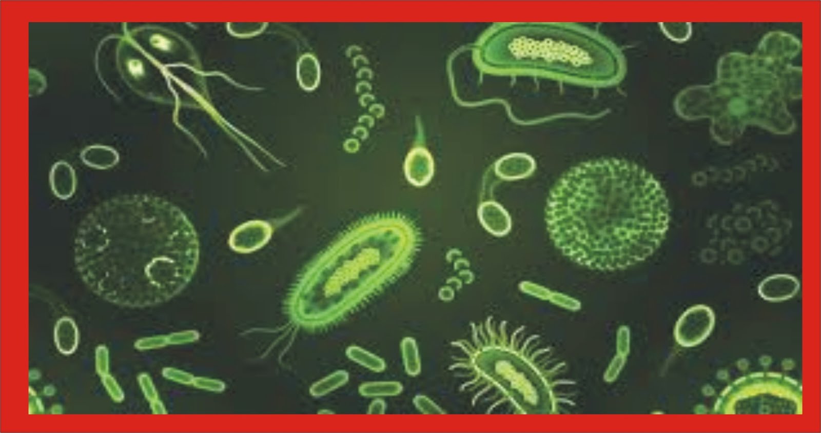 Tiny life forms, /Microscopic organisms