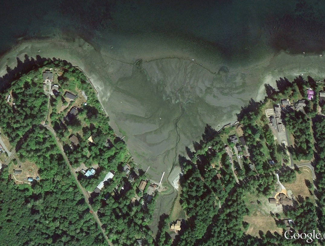 Protect Our Shoreline News: Sohn Geoduck Farm: Residents of Zangle Cove ...
