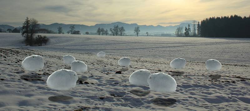 The Arctic Hare | Polar Rabbit