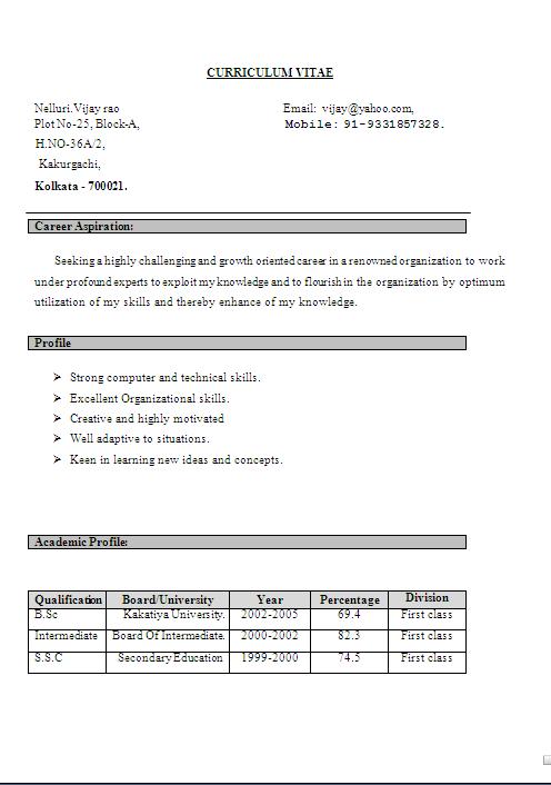 CV Examples Ireland Free Download