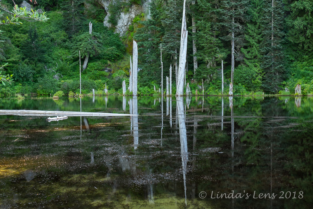 Linda's Lens: June Lake and Ape Caves