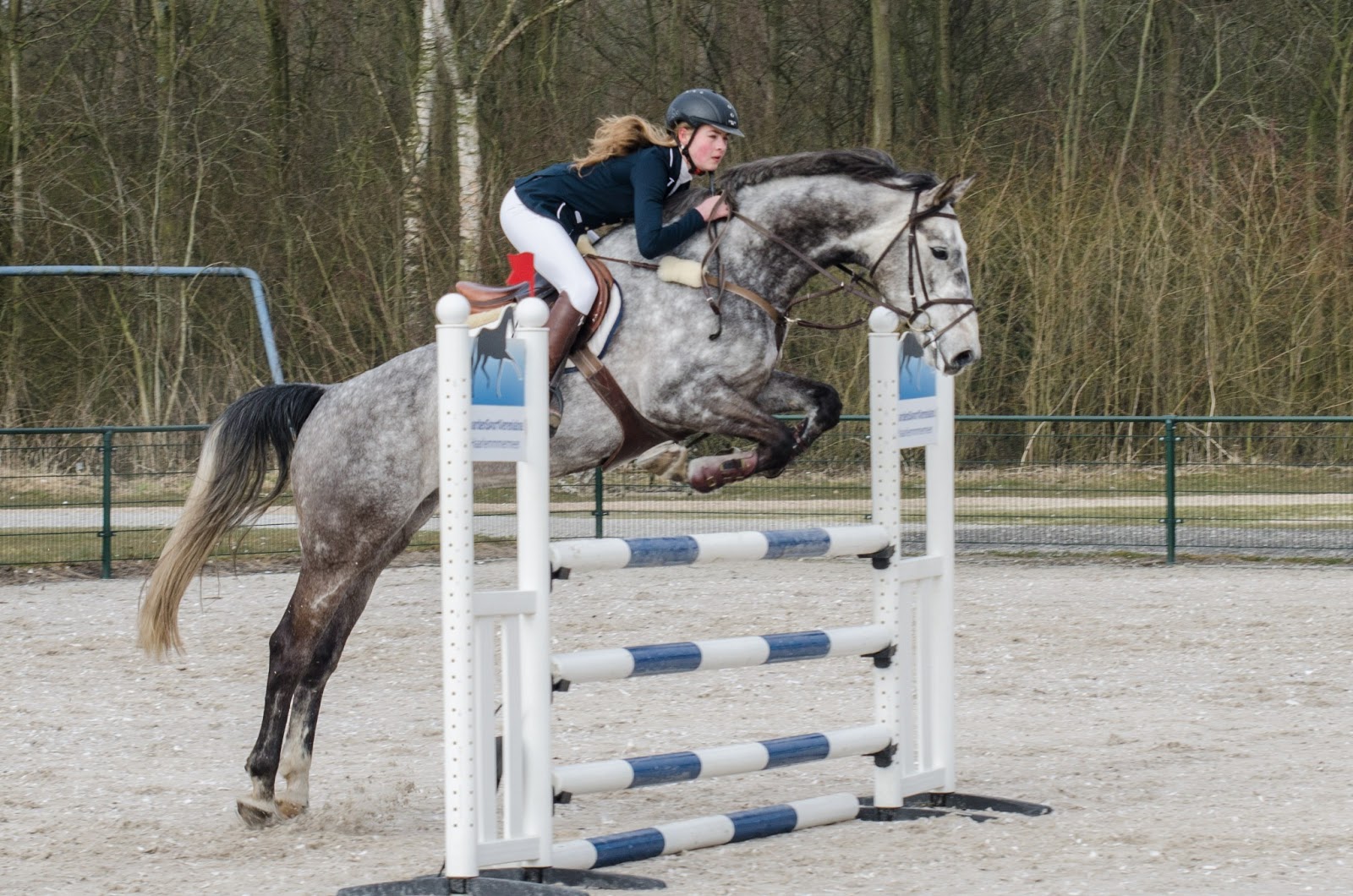 corbakphotography: Paardensport springen
