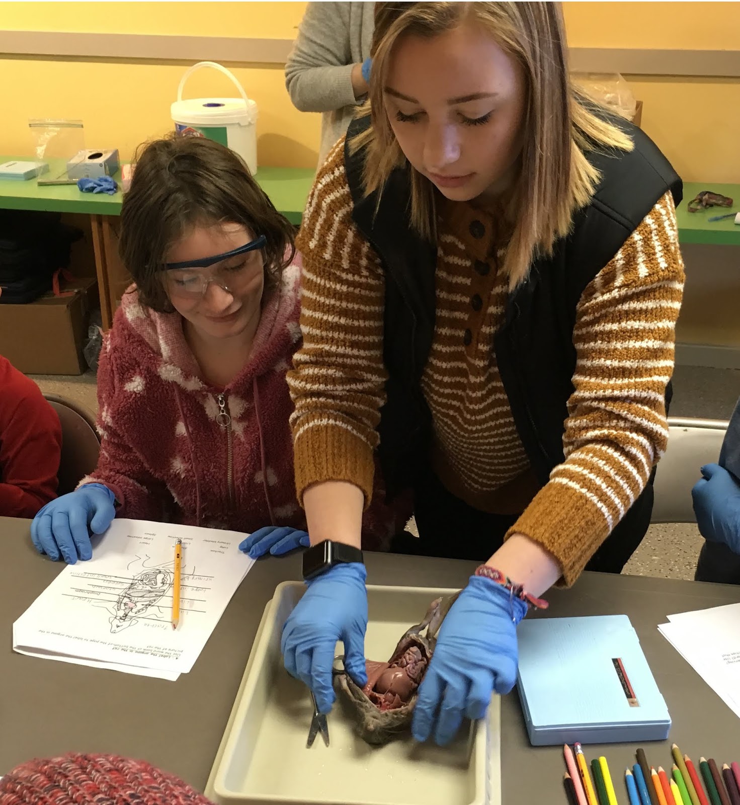 Bloomsburg University College of Science and Technology: Grossology Lab ...