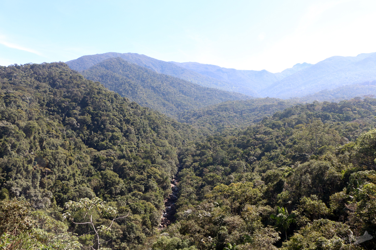 Parque Nacional de Itatiaia (RJ) - E aí, férias!