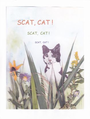 Scratch Pad Books: SCAT, CAT...chapter 8