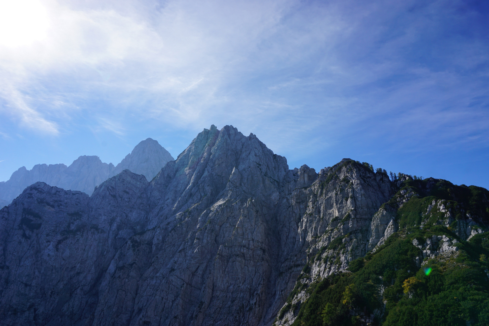 Jelenkamen - Majdag: Divjina na robu Martuljkove skupine - Kurji vrh...
