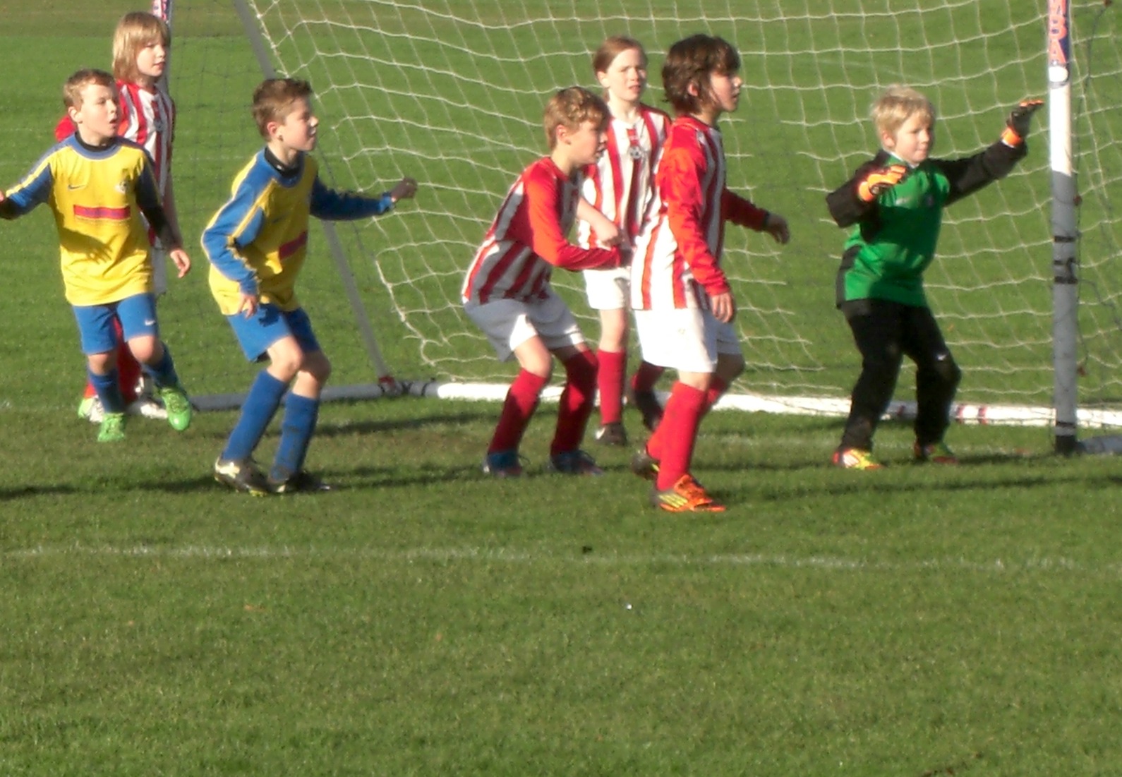 Heigham Park Rangers Under 9s 2012/13: Heigham Park Rangers 1 - 1 ...
