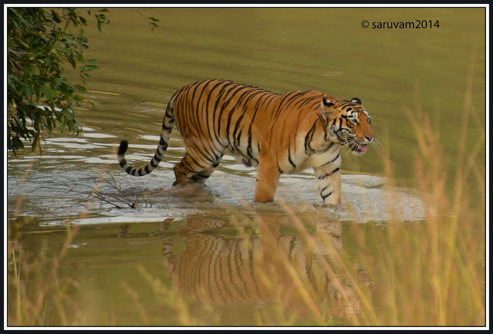 Let's go for a vacation - Saru and Vamsee's Travels: Patience or ...