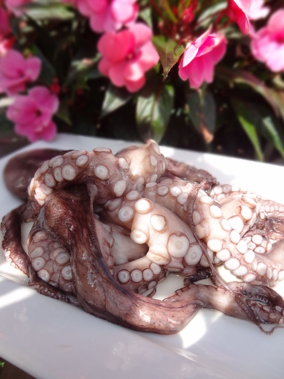 Scrumpdillyicious: Grilled Baby Octopus with Arugula, Beets & Chickpeas