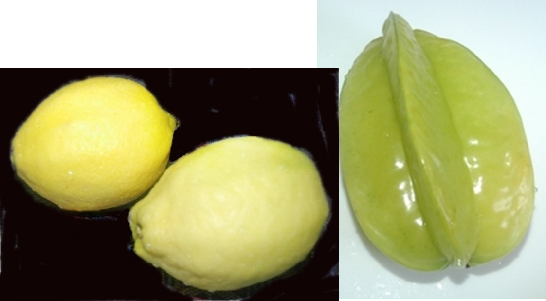 COOKING-VARIETIES : FOOD AND HEALTH BENEFITS: LEMON DRINK WITH ...