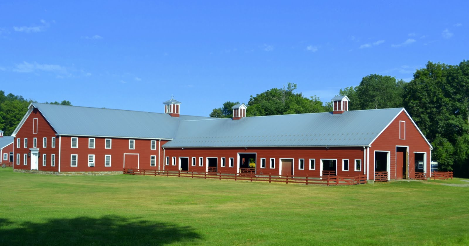 Little Ladies and Lambs: Old Chatham.....Dream farm visit
