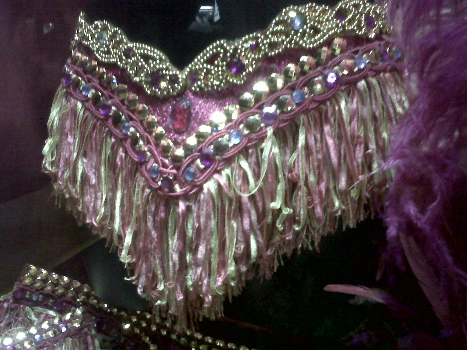 trini dougla diaries: Back to JA Carnival