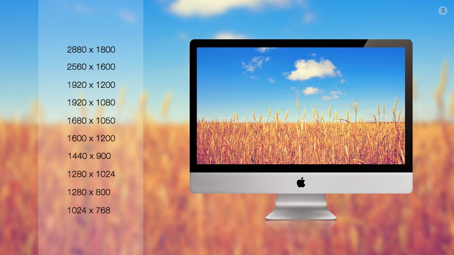 Windows Classic Field 1920x1080 Full Hd 169 Wallpapers