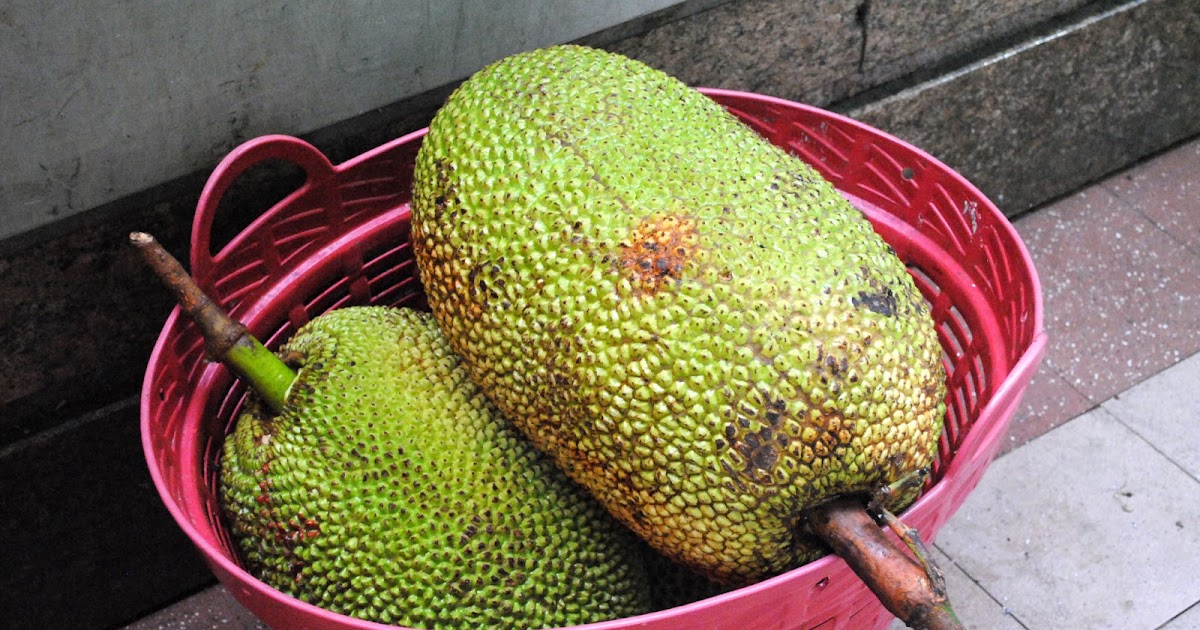 Singapore Wild City: Feel fruit to taste # 05 The Jackfruit