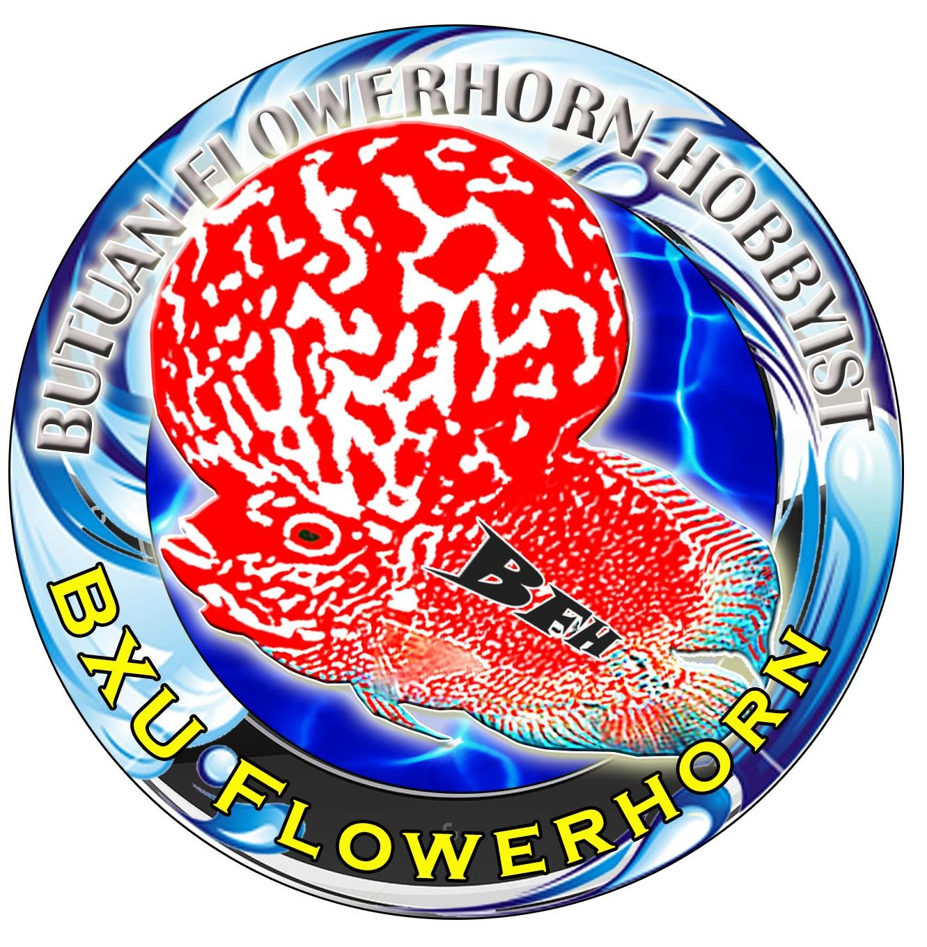 BUTUAN FLOWERHORN CICHLIDS & TROPICAL FISH: kamfa ZZ