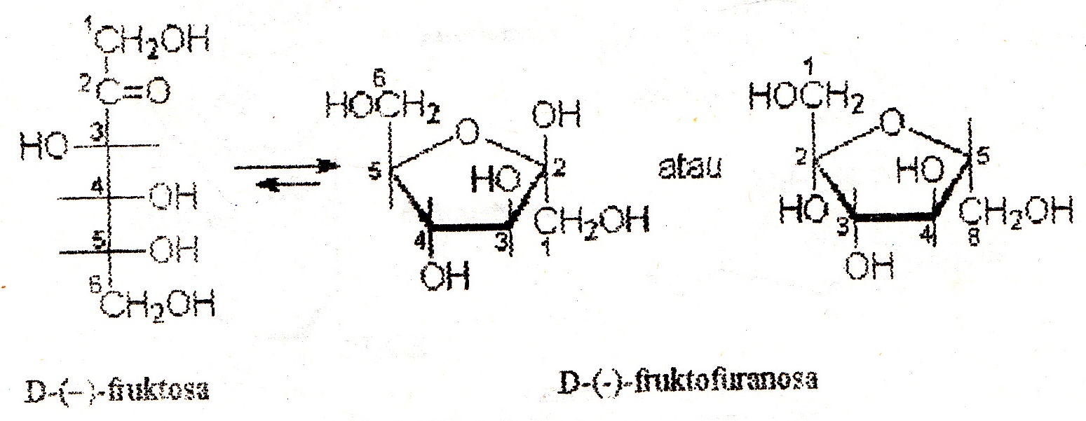 Contoh Monosakarida - Salsabila-Ravina
