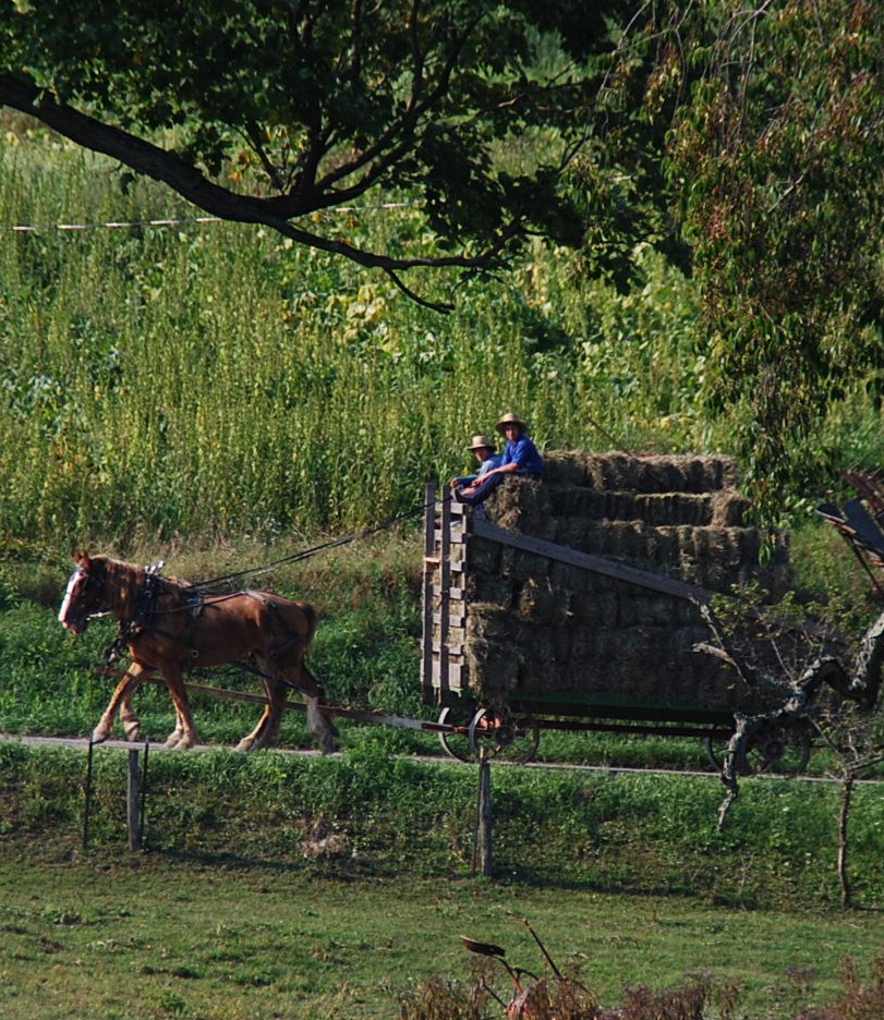 Amish Crossings with Karen Anna Vogel: Do Amish youth work too hard?