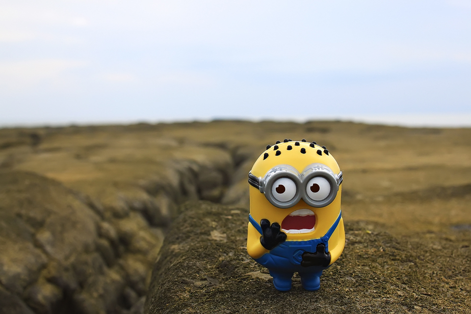 The Scared Minion - Love, Pinkcheeks