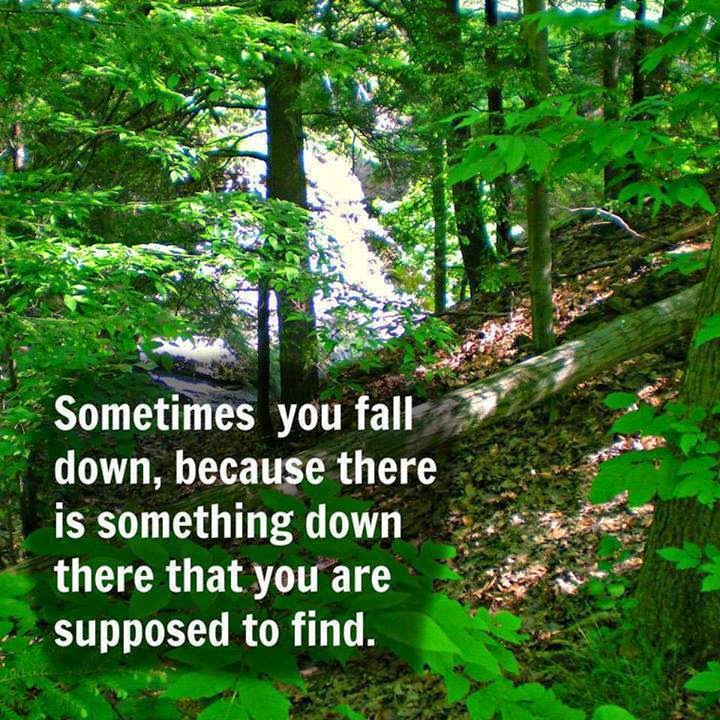 SOMETIMES YOU FALL DOWN, BECAUSE THERE IS SOMETHING DOWN THERE THAT YOU ...