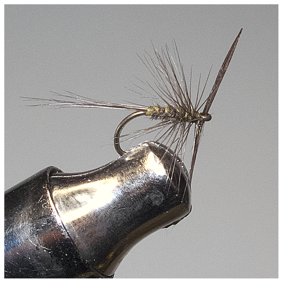 Dry Fly 'Expert': Iron Blue Dun...