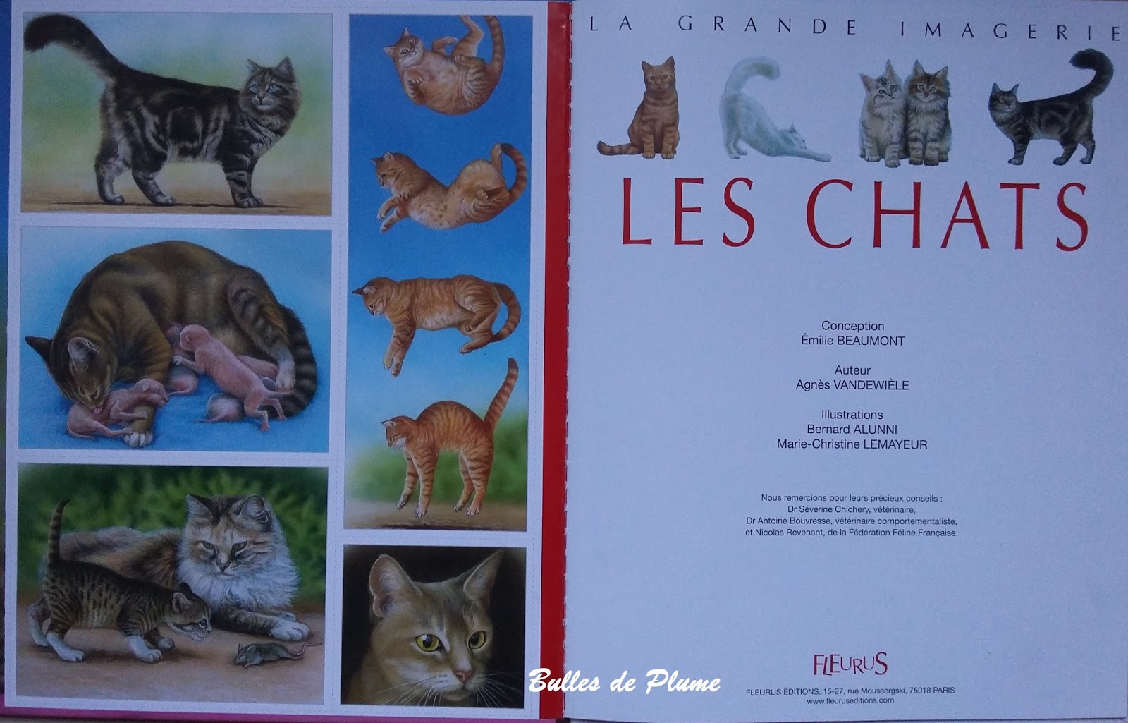 Bulles de Plume: La grande imagerie Fleurus: Les chats / La Lune