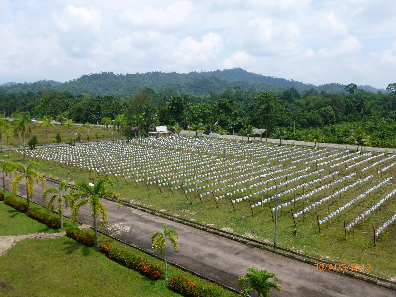 OBO: Projek Tanaman Timun Fertigasi Terbuka Di SMK Kuala Jengal, Dungun ...
