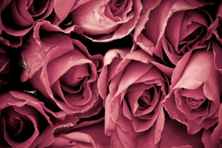 Life and luxury: Marsala - the Pantone Colour of 2015