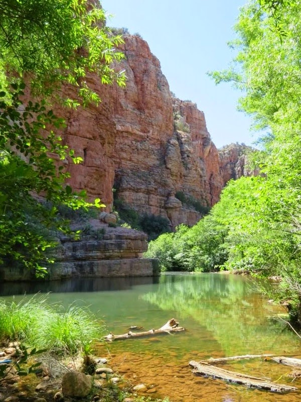 Sociolatte: Water hole on Parson Springs Trail, Arizona