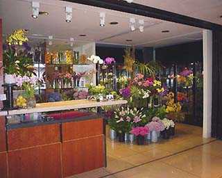 Peluang Bisnis: Bagaimana Usaha Toko Bunga