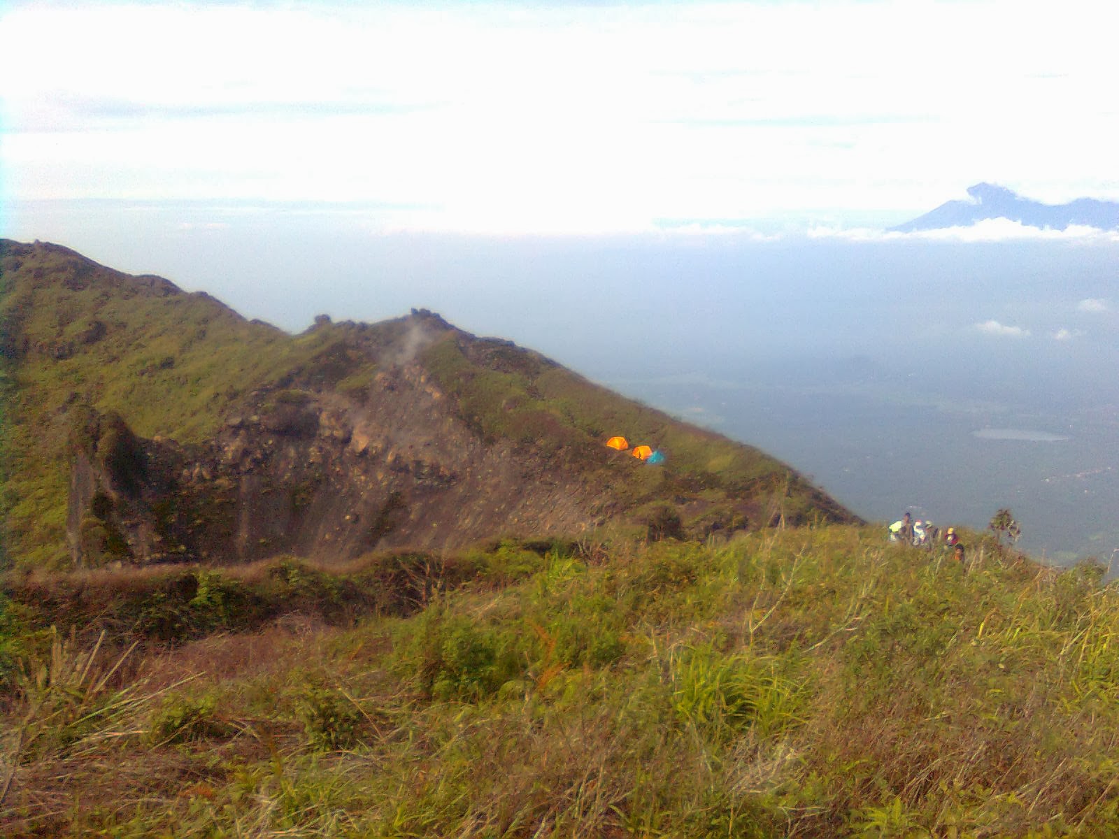 GUNUNG TARUB-LAMONGAN (Ekspedisi Membuka Jalur Pendakian) ~ SAVANA EXPLORE
