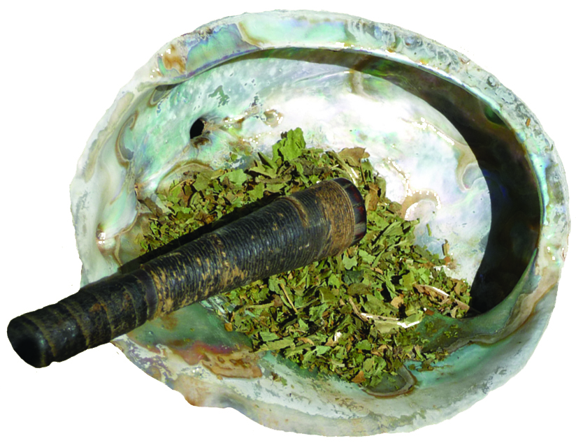 Tobacco Education Within Native American Communities: About Traditional ...