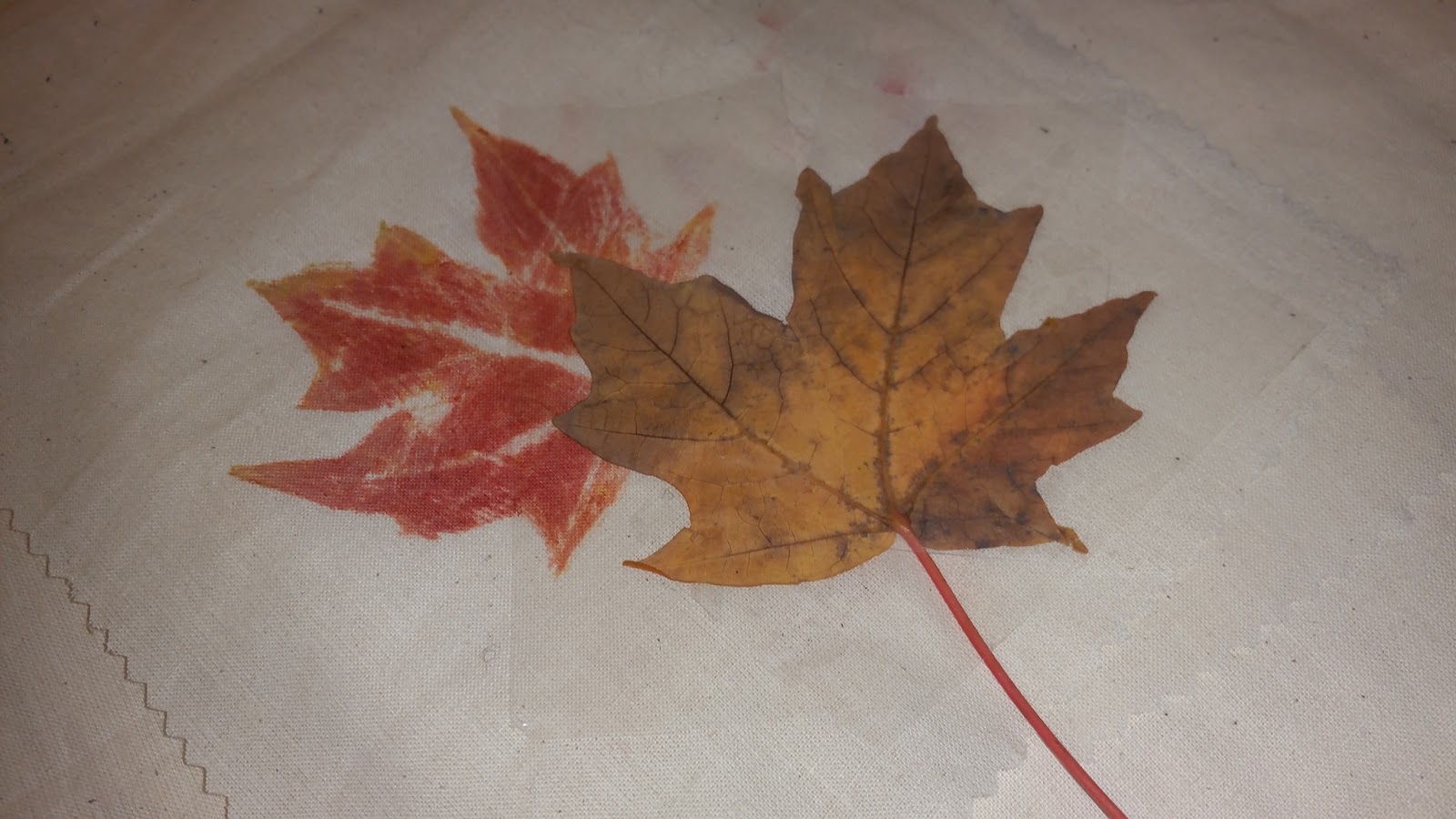 By His Good Grace: Leaf Craft: Transferring Leaf to Cloth