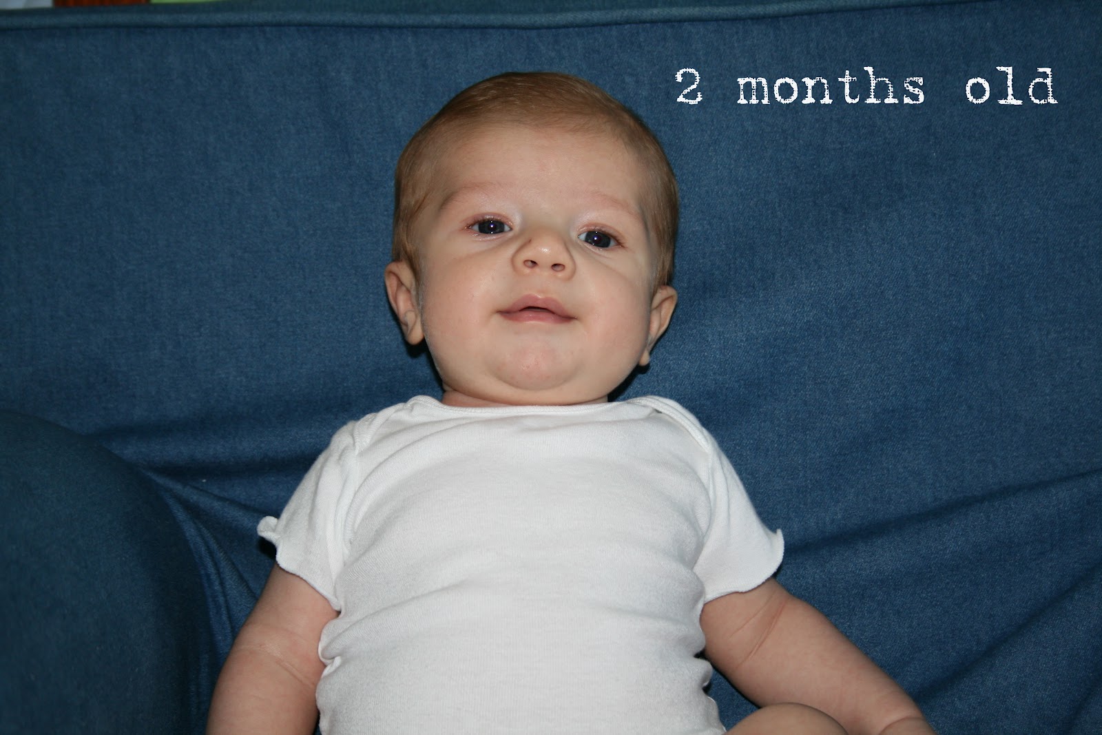 The Willis Four: Two Months Old