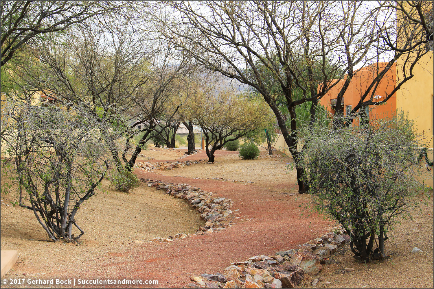 Tucson's Civano community: where I'd love to live