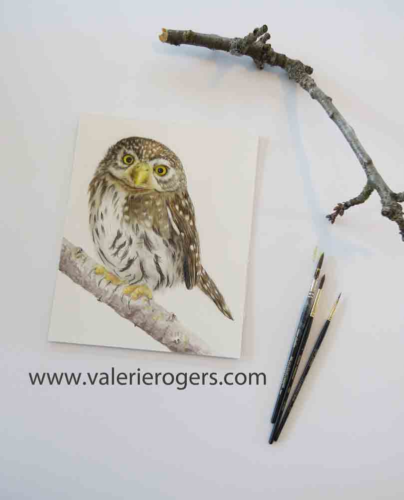 Valerie Rogers Art - www.valerierogers.com