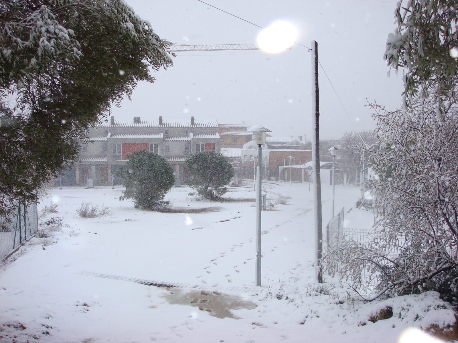 Que! paisajes!: Nevando