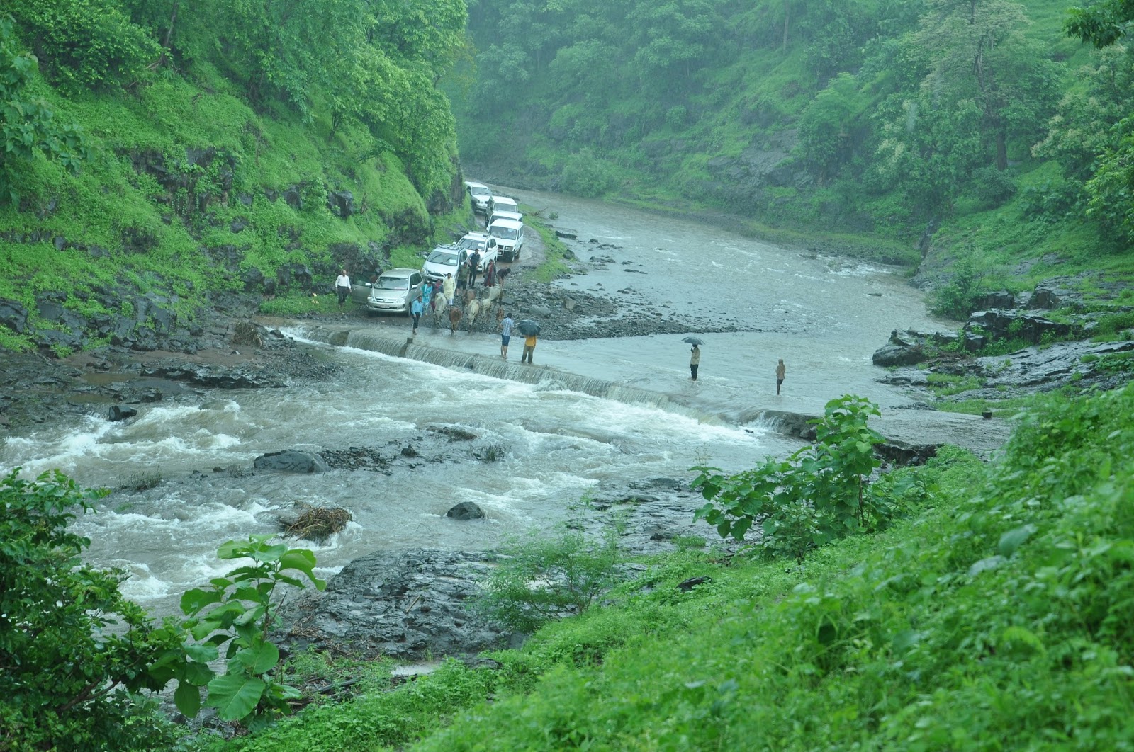 zarvani fall Narmada district
