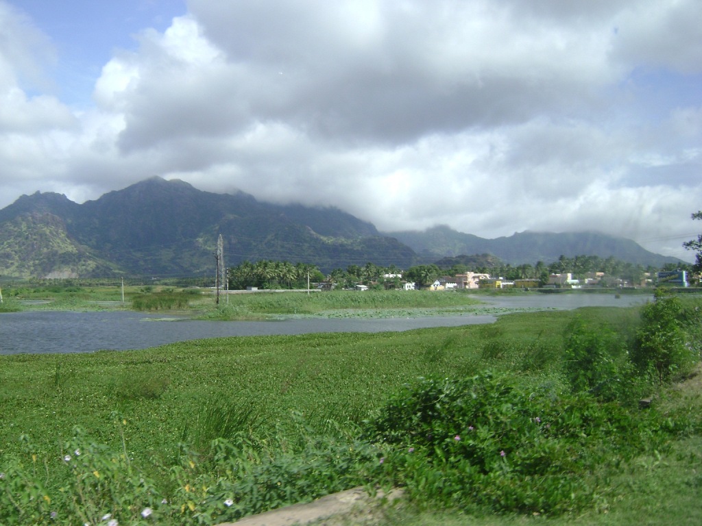 Tamilnadu Tourism: Kalikesam Forest & Waterfalls, Kanyakumari