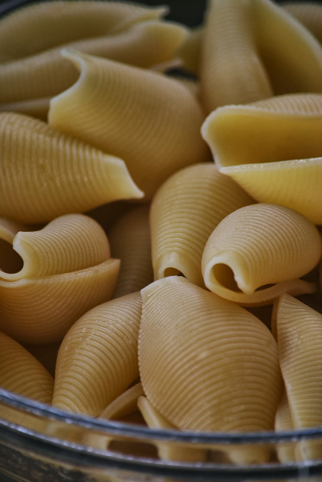 My story in recipes: Jumbo Stuffed Shells