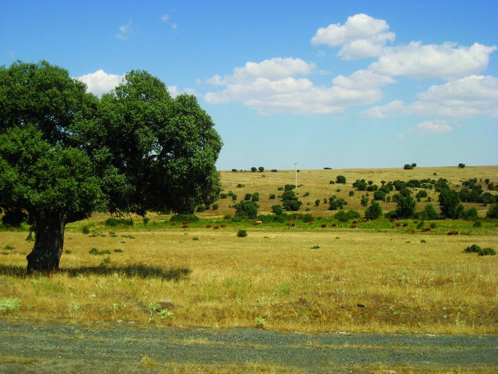 Clases o tipos de usufructo - Derecho Civil