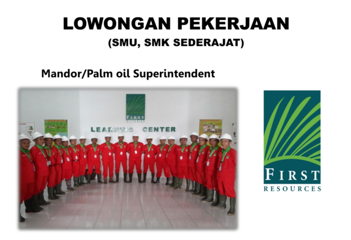 Walk In Interview Mandor/Palm Oil Superintendent di First Resources ...