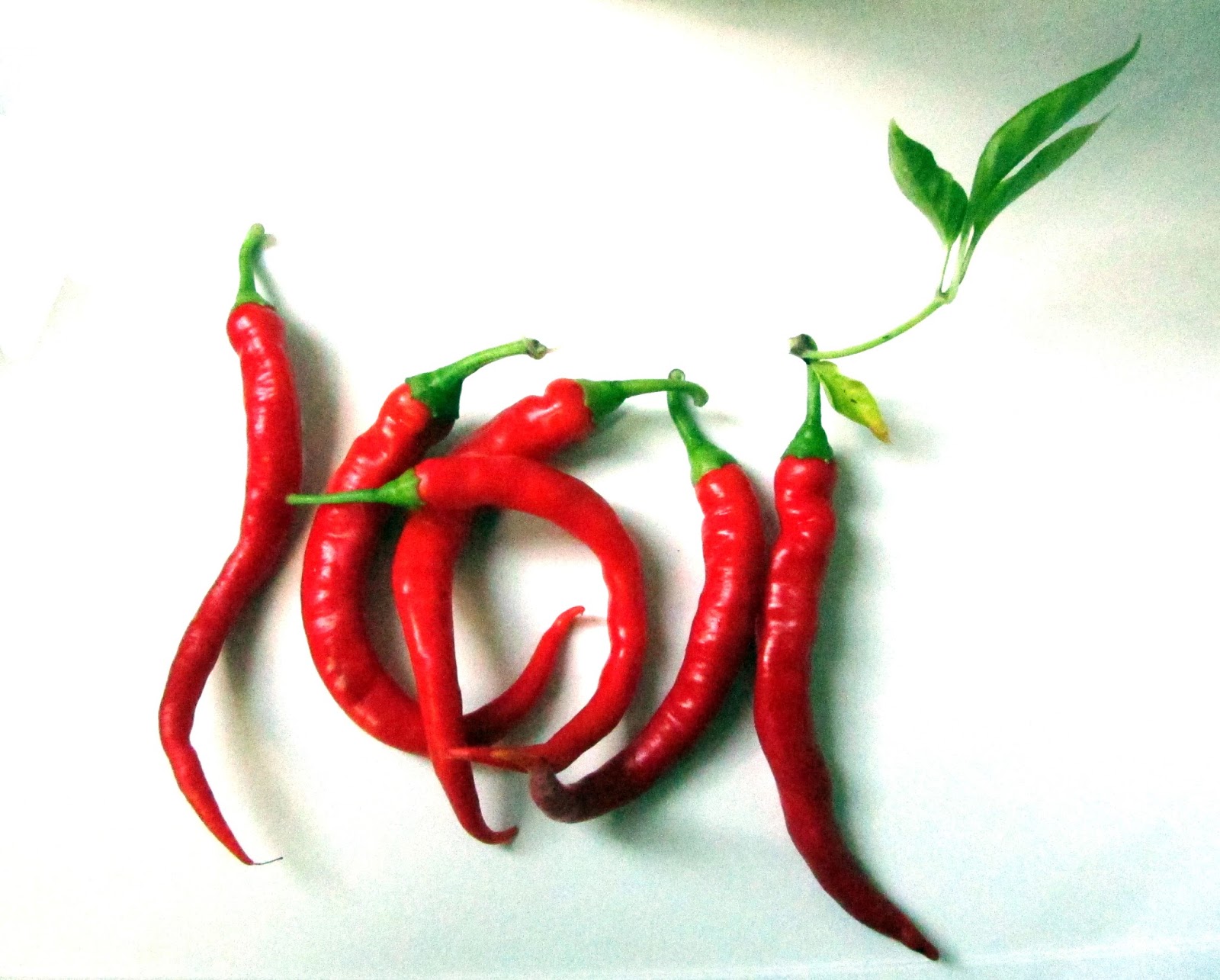 CHIKI: NUTRICIÓN : LA GUINDILLA