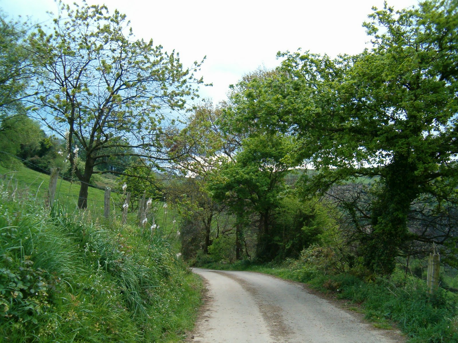 Camudando'l camín: Tueya (Xixón) - Picu'l Sol - Picu Samartín - El Xigal