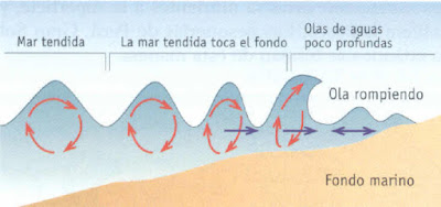 ¿Cómo se forman las olas? ¿te pica la curiosidad? - Adelantando el Mundo