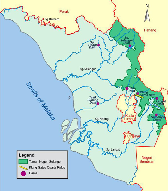 Ongzi's SecretGarden: Endemic Plants of Klang Gates Quartz Ridge